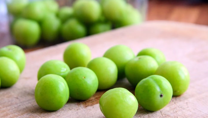 Eriğin Faydaları | Tarifler, Bitkiler, Parfüm Kodları